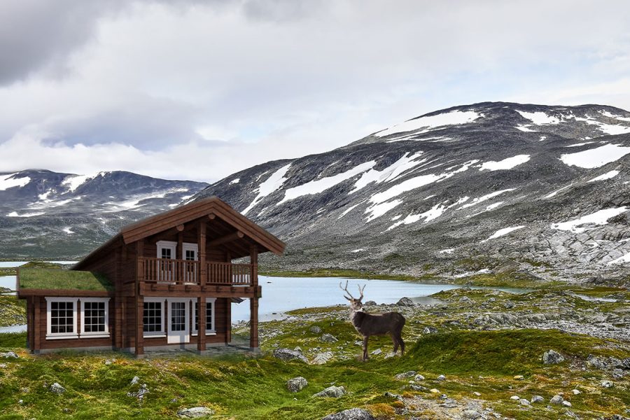 Wood house projects - Log and timber frame house manufacturing and ...