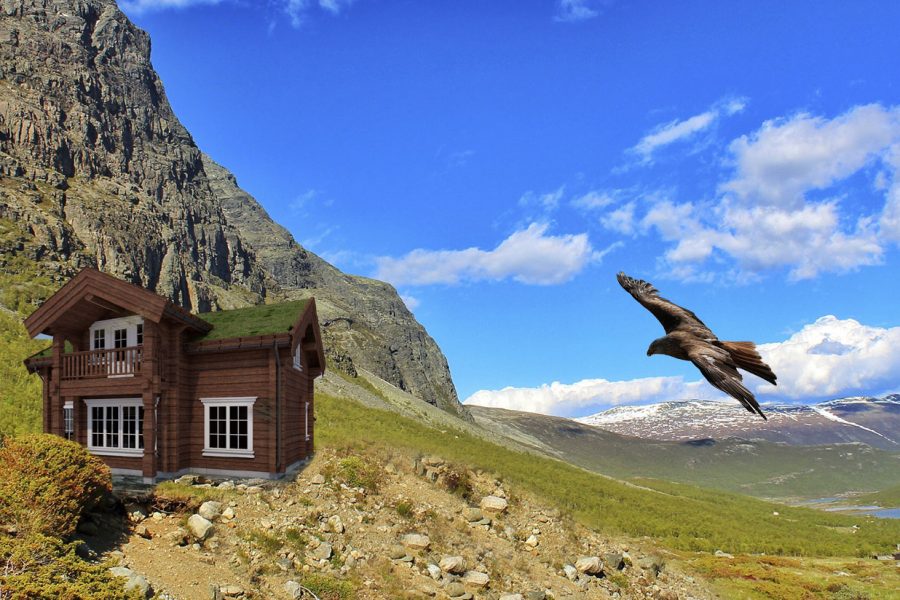 Wood house projects - Log and timber frame house manufacturing and ...